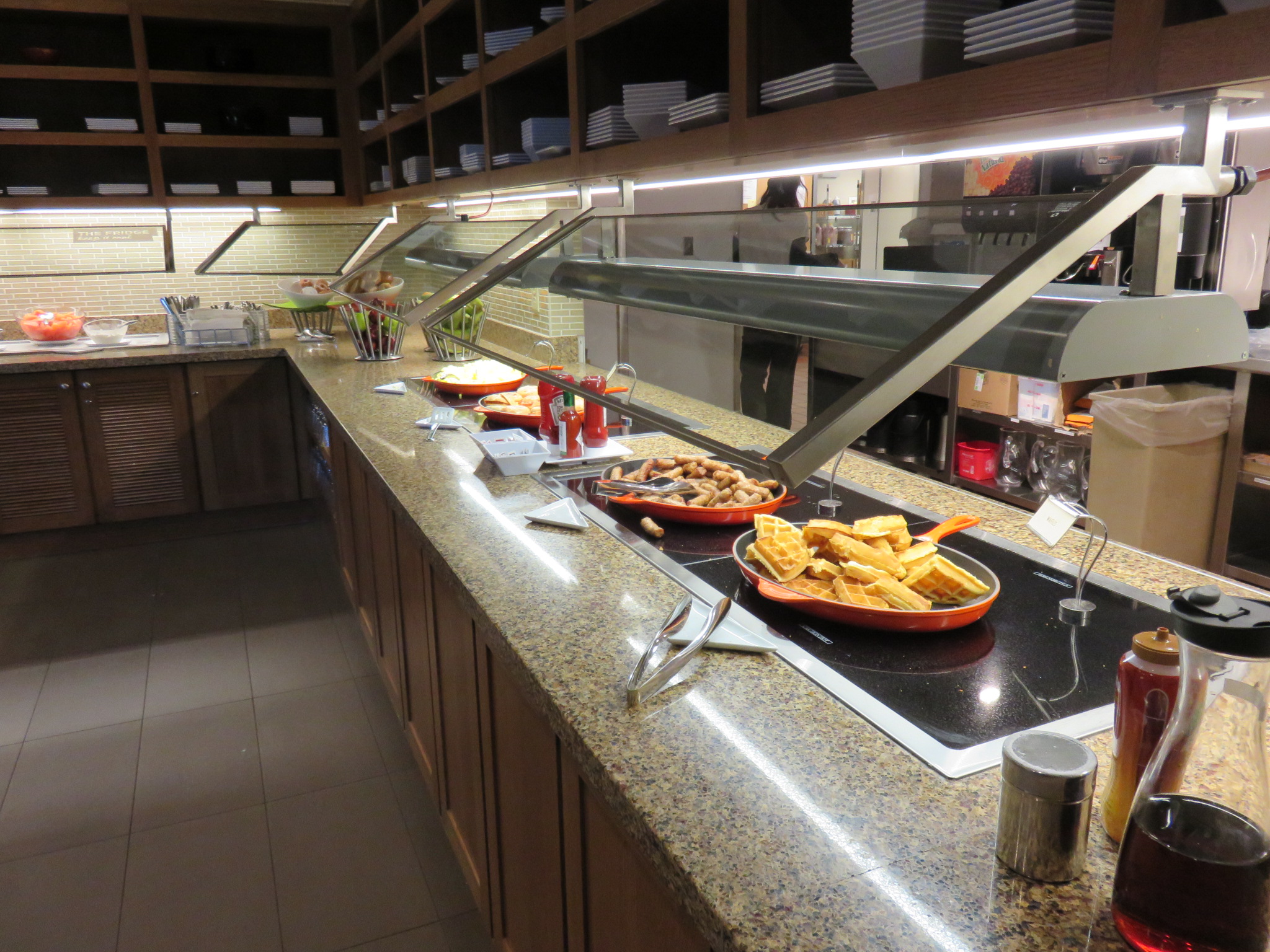 Road Trip with Dogs – Choosing Pet Friendly Hotels | Future Expat